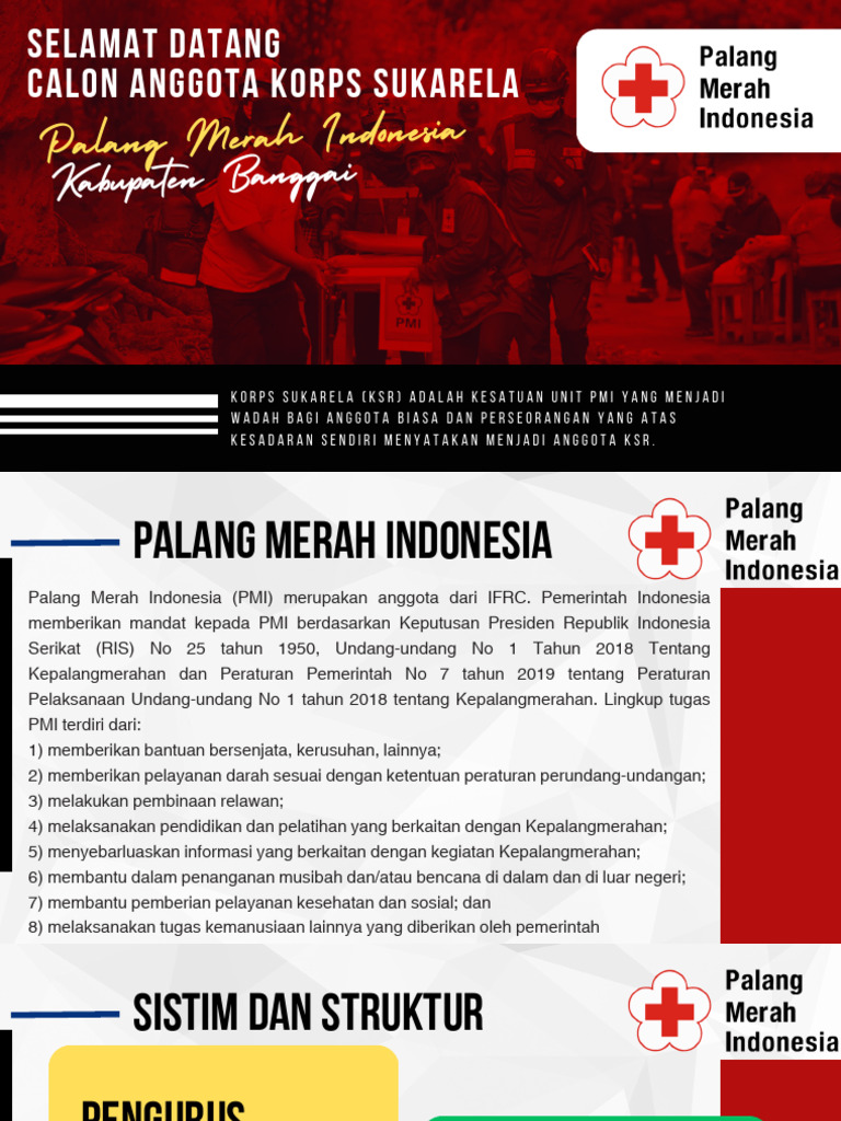 Rekrutmen Anggota Korps Sukarela PMI | PDF
