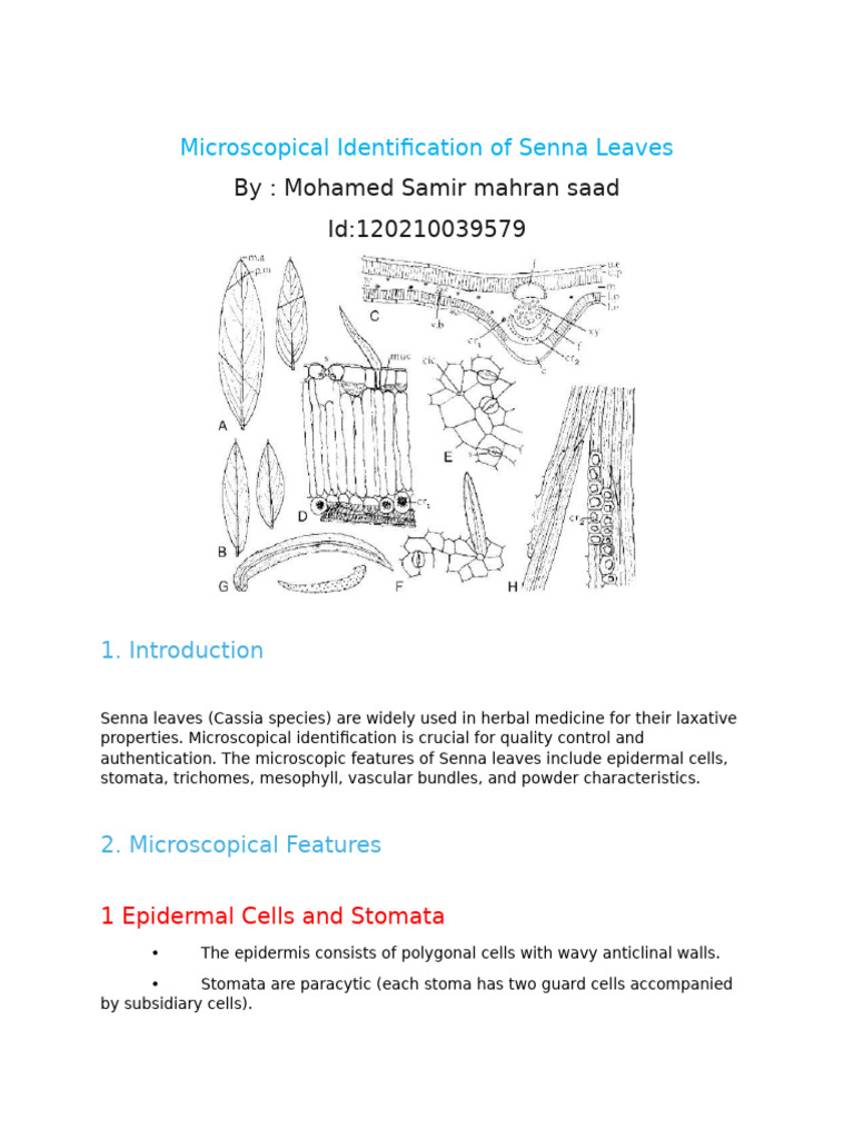 Microscopical Analysis of Senna Leaves | PDF | Leaf | Tissue (Biology)