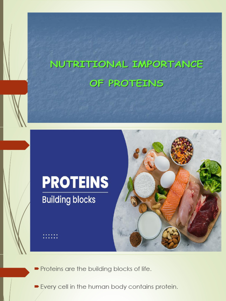 Nutritional Importance of Proteins | PDF