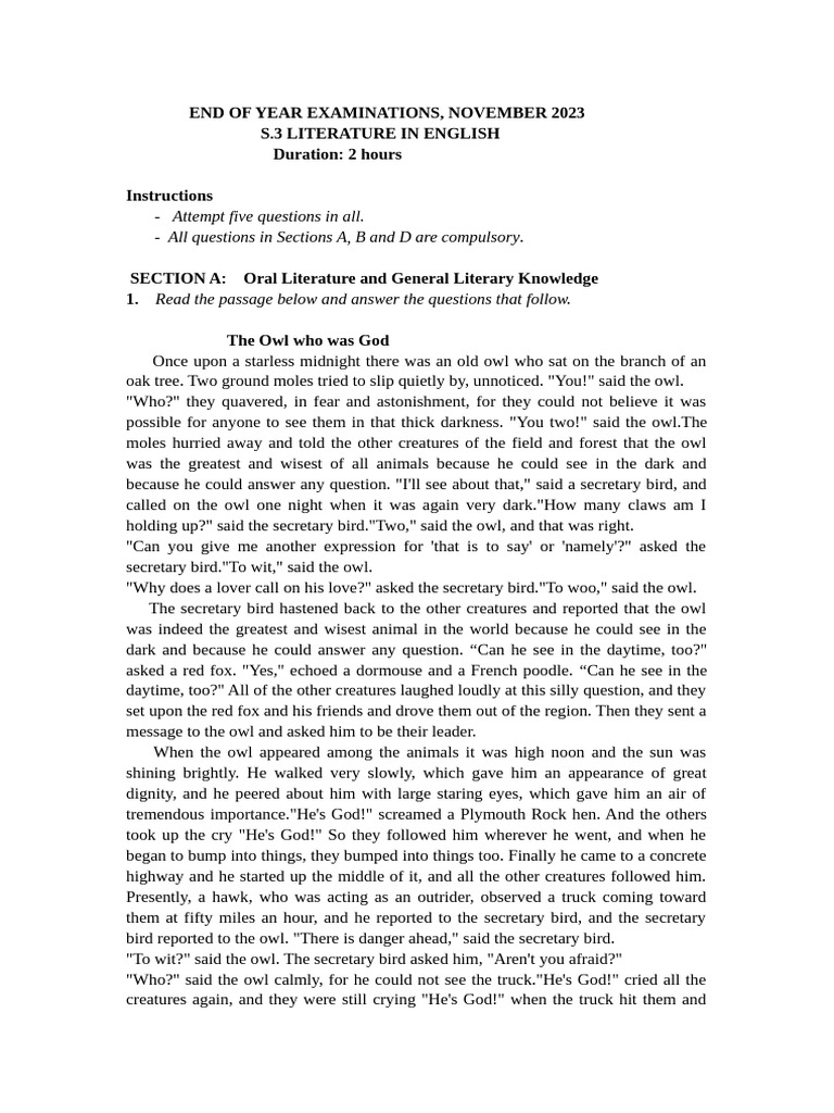 S.3 End of Year Lit Exam | PDF