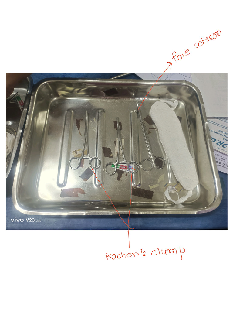 Obg Gynaecology Instruments | PDF
