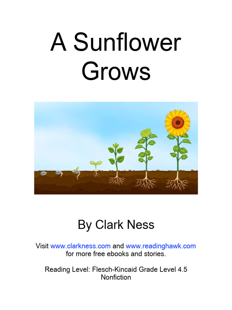 Sunflower Growth Explained for Kids | PDF