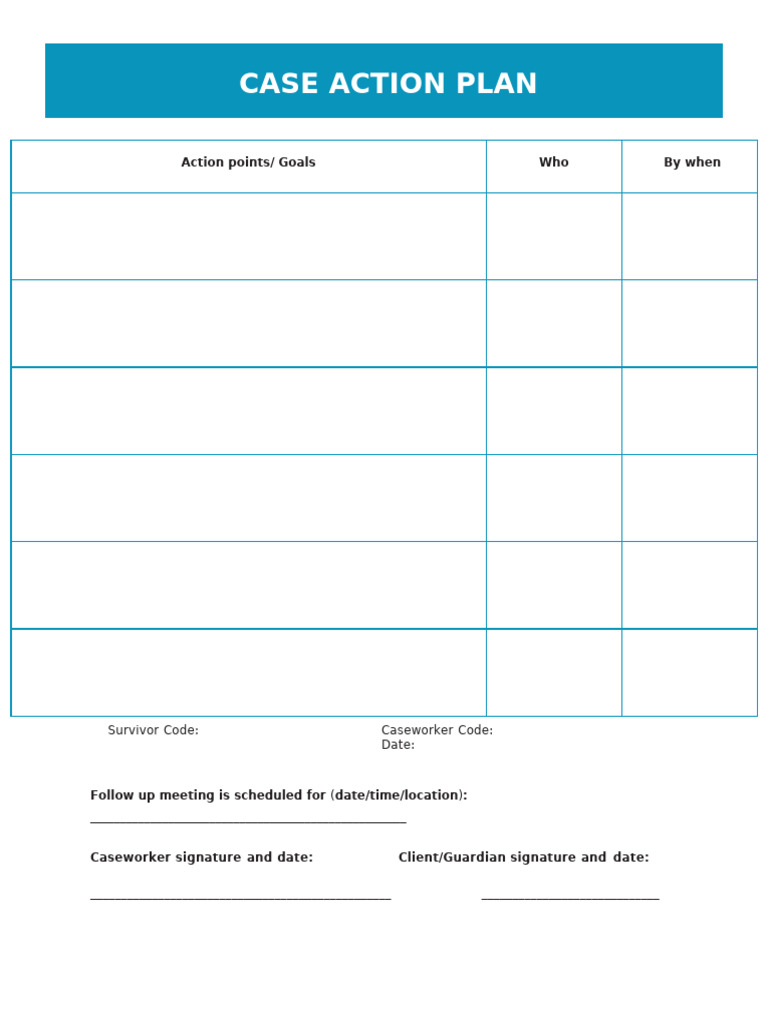 Sample Case Action Plan | PDF