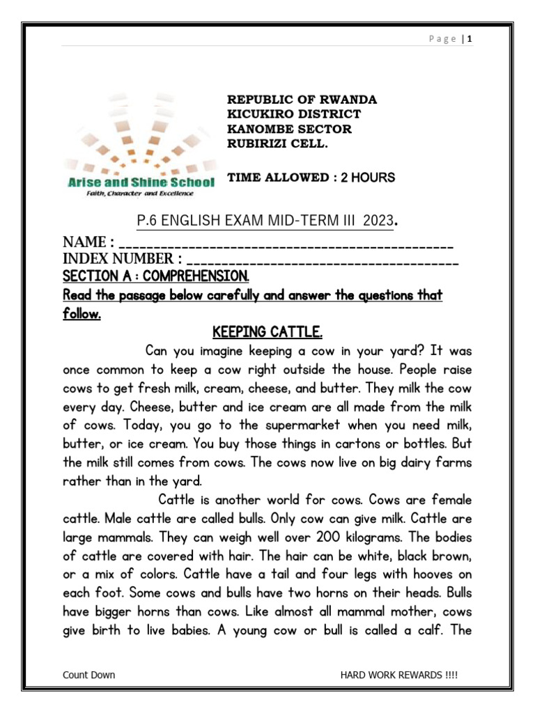 P6 English Exam: Cattle and Dairy Farming | PDF | Cattle | Milk