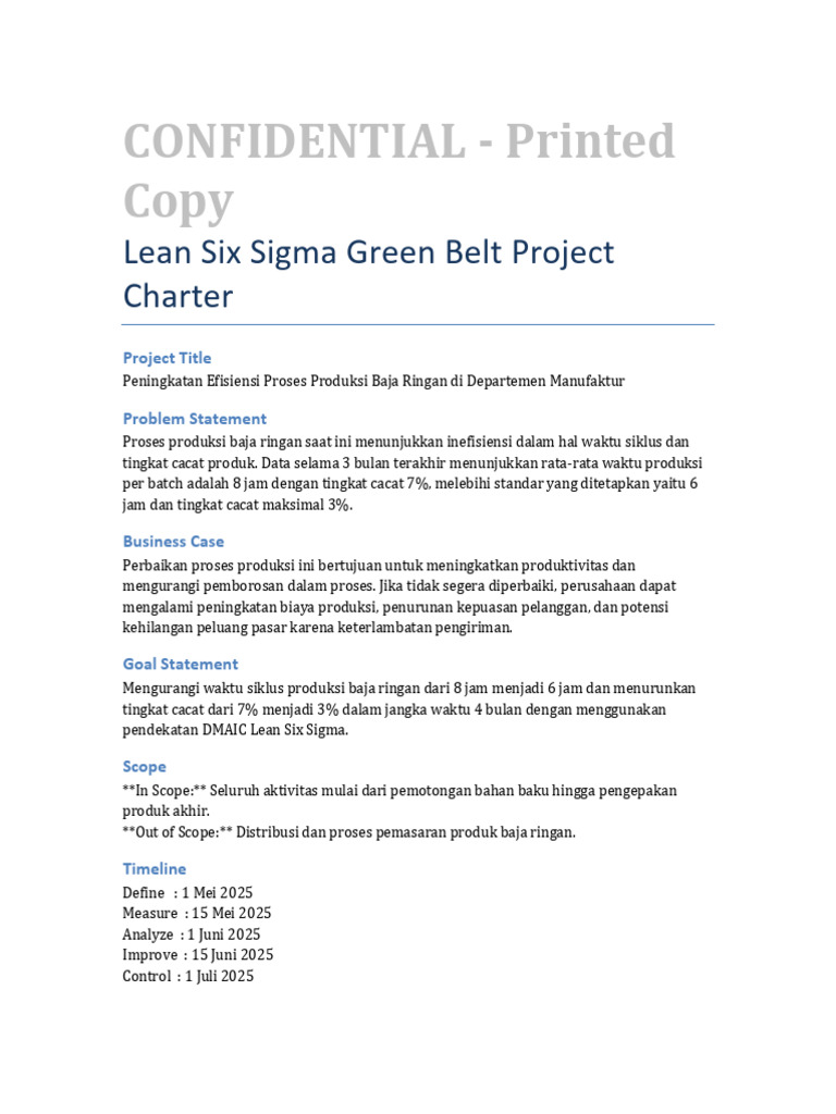 Lean Six Sigma Project Charter Baja Ringan | PDF
