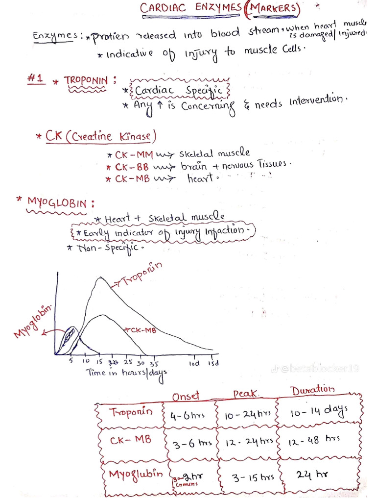 Cardiac Enzymes | PDF