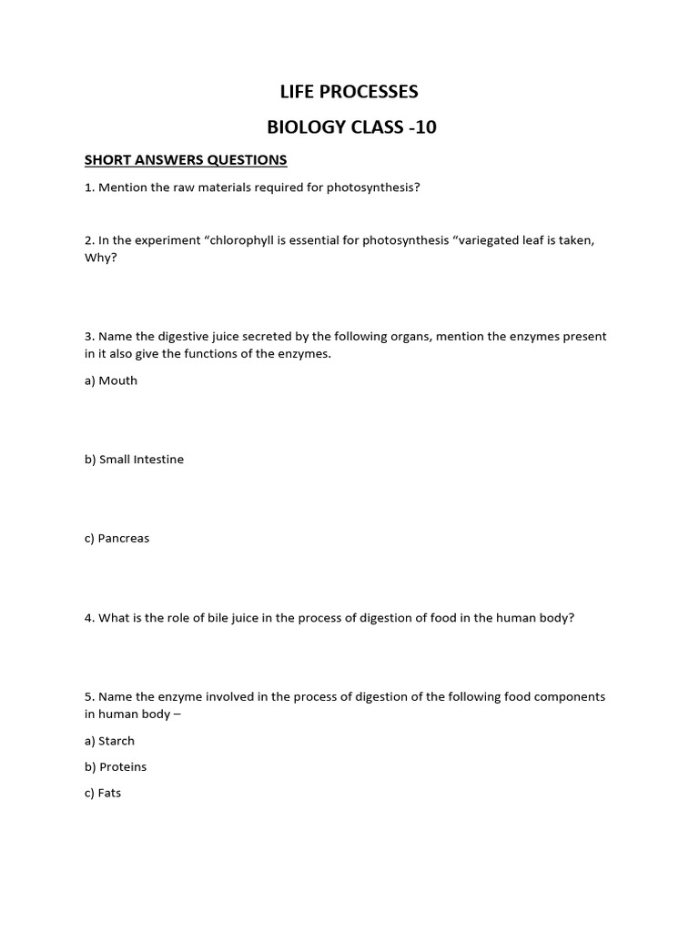 Life Processes No 1 Worksheet | PDF | Digestion | Stoma
