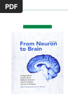Coordination and Response - IGCSE Biology Notes (2020) | PDF | Synapse ...