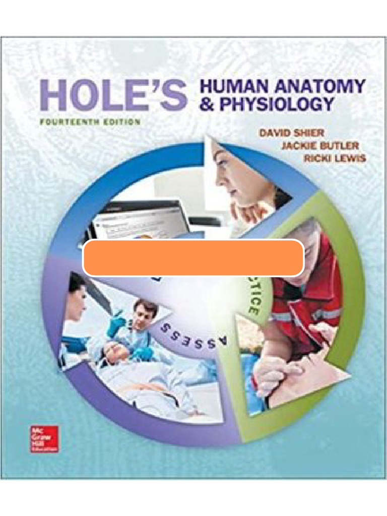Testbank For Holes Human Anatomy and Physiology 14th Edition Shier ...