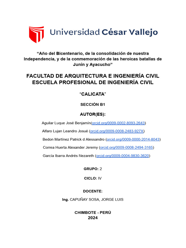 CALICATA | PDF | Suelo