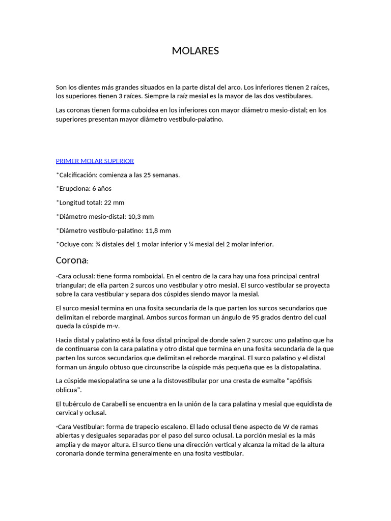 Anatomía y características de los molares | PDF | Boca | Diente