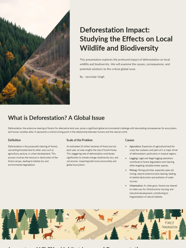 Deforestation Impact Studying The Effects On Local Wildlife and ...