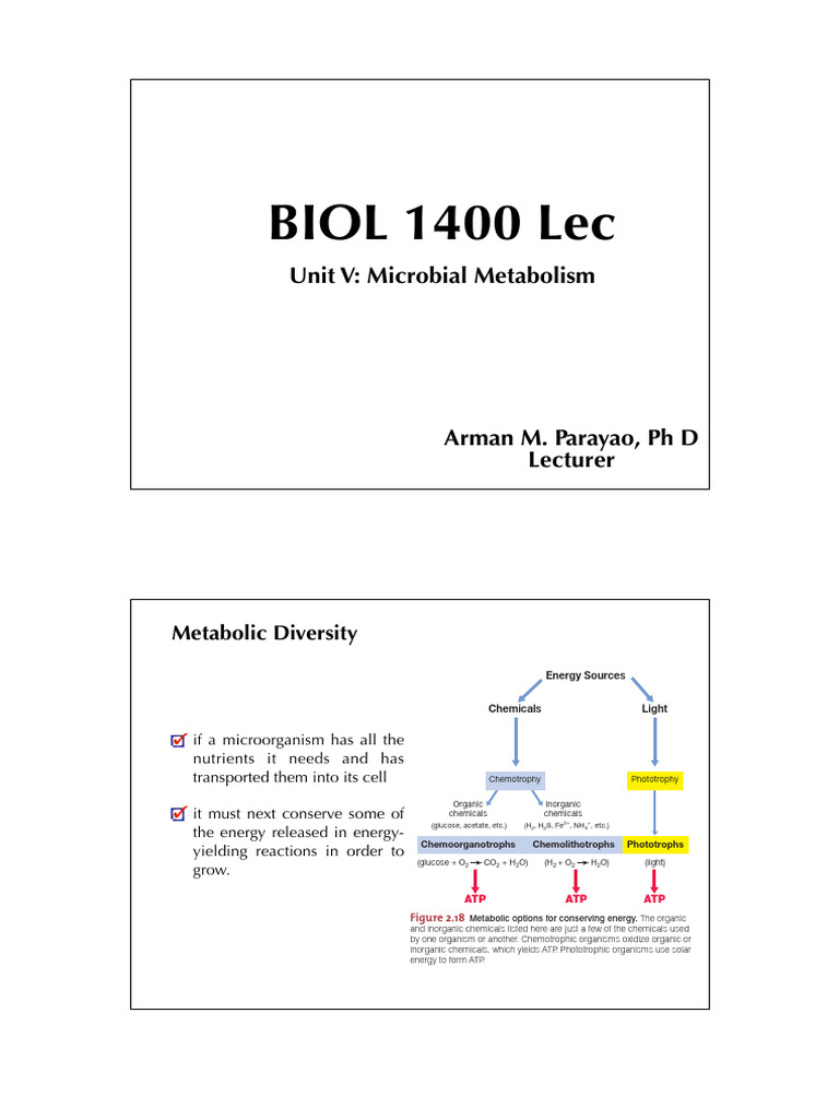 Biol 1400 Unit V | PDF | Enzyme | Cofactor (Biochemistry)