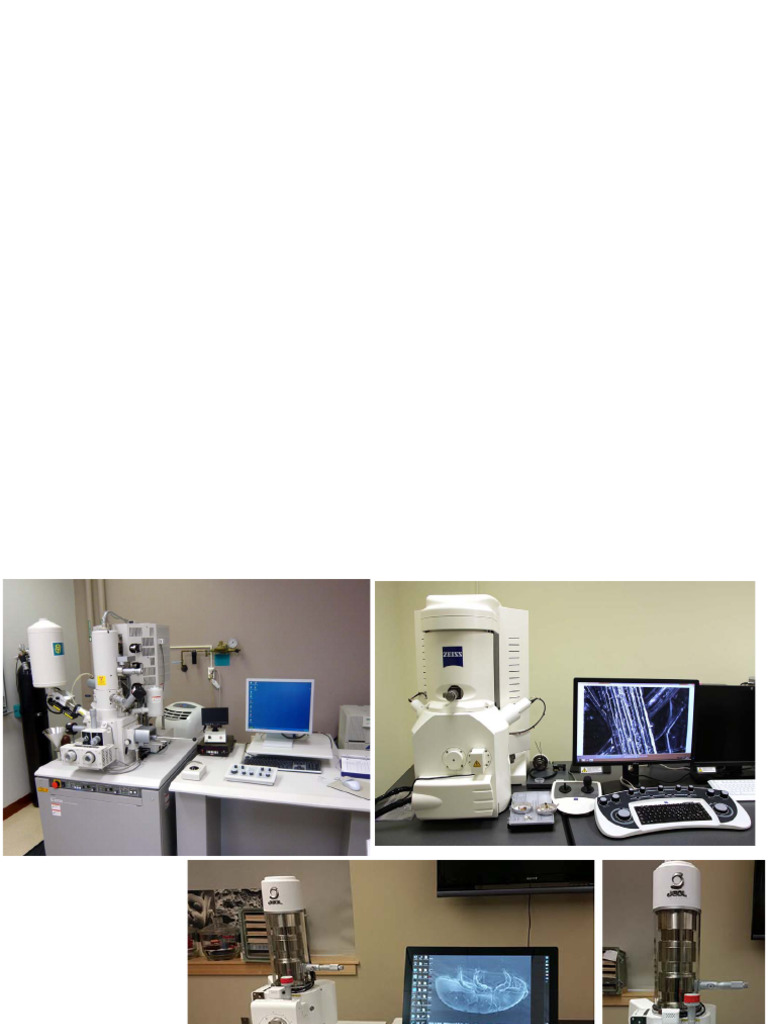 Scanning Electron Microscopy & Energy Dispersive X-Ray Spectros | PDF | Scanning Electron ...