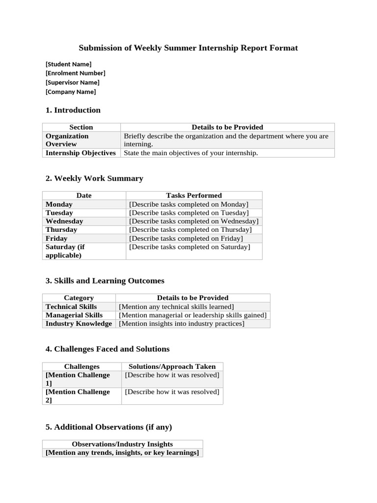 Weekly Internship Report Template | PDF
