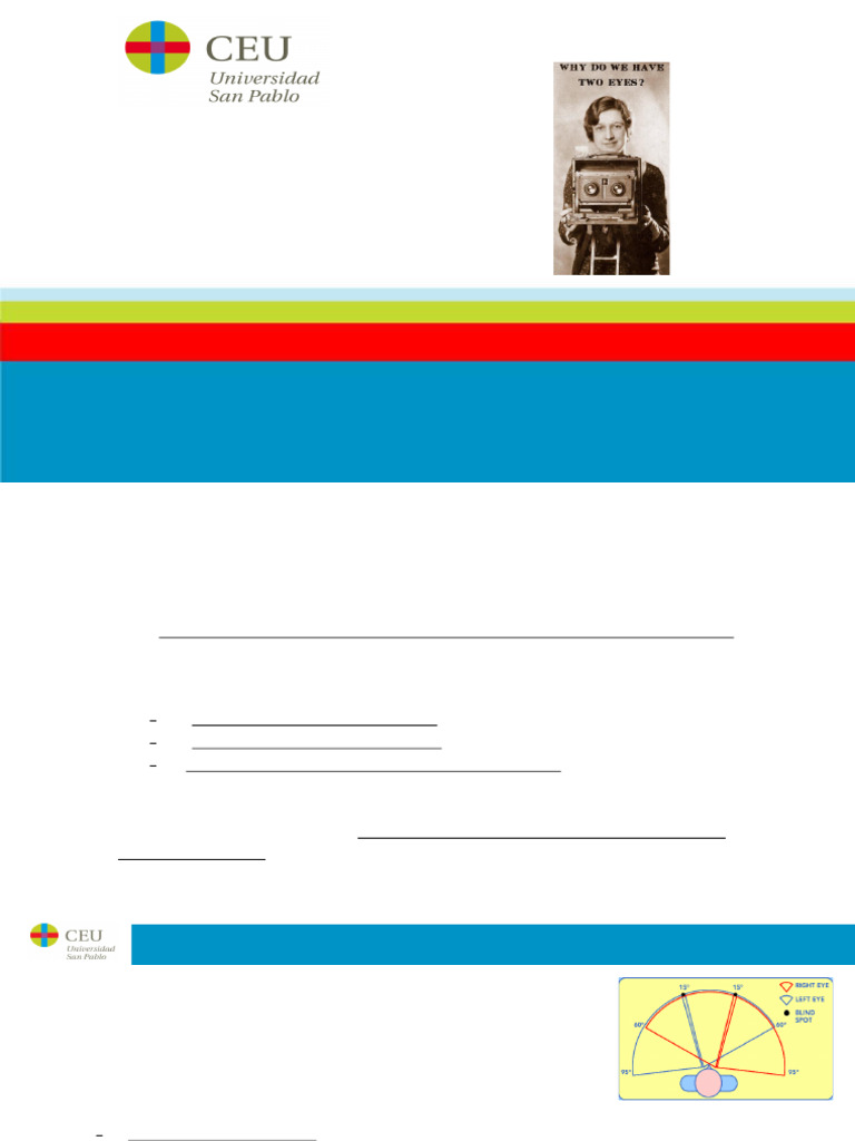 Tema 9. Estereopsis 2021-22 | PDF | Percepción visual | Estereoscopia