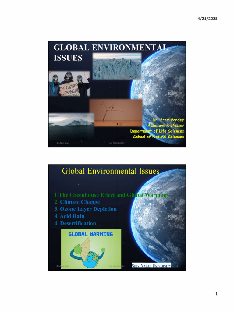 Mod 9 Global Evs Issues Final | PDF