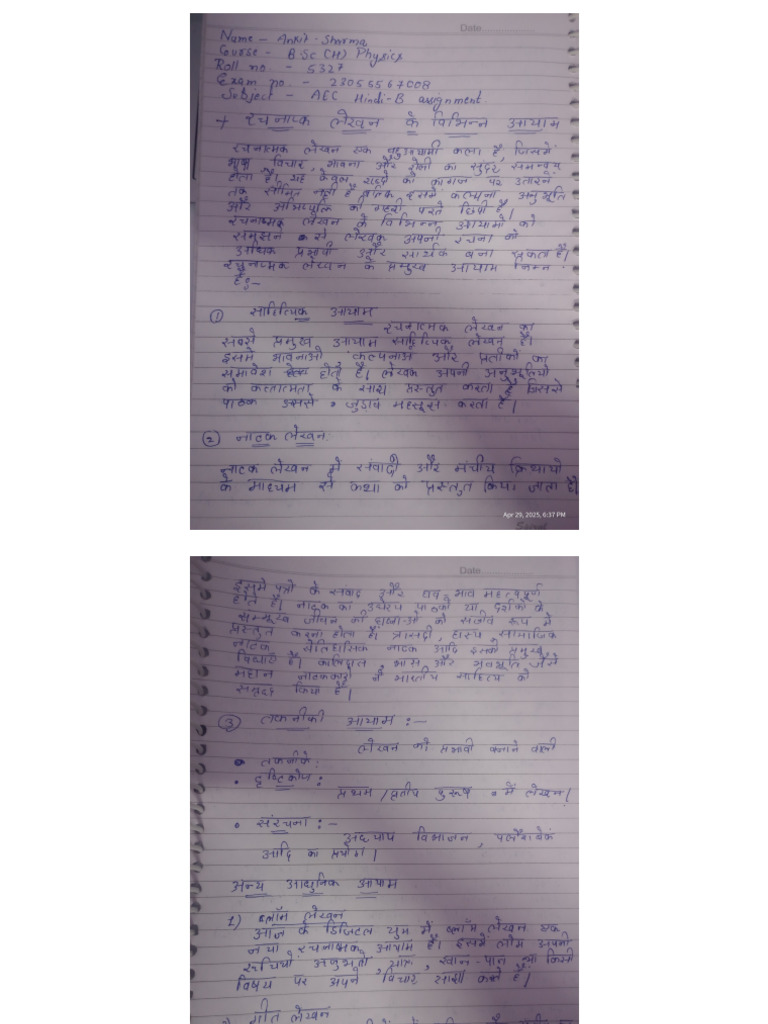 Hindi Assignment | PDF