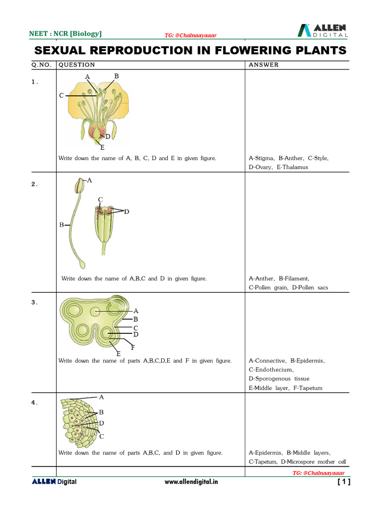 SEXUAL REPRODUCTION IN FLOWERING PLANTS Pyq | PDF | Pollen | Pollination