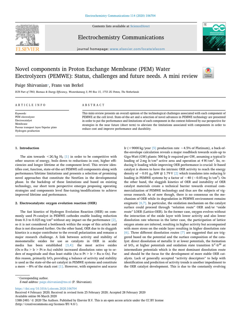 Novel Components in Proton Exchange Membrane PEM Water 2020 ...