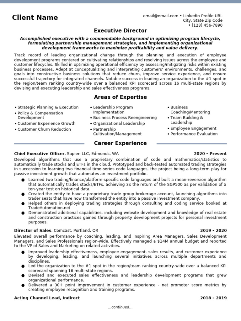 Executive Director Resume Overview | PDF | Leadership | Sales