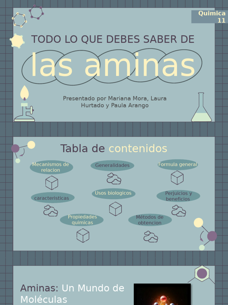 Todo sobre las aminas en química | PDF | Amina | Ácido