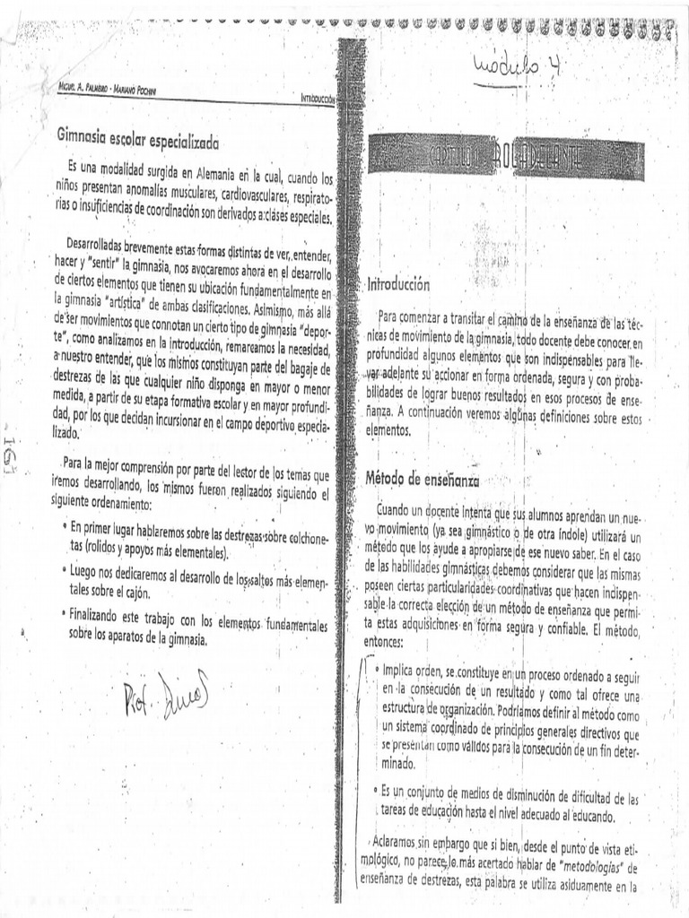 DESTREZA | PDF