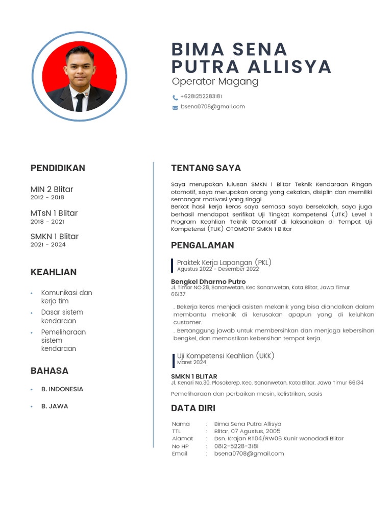 Professional Modern CV Resume | PDF