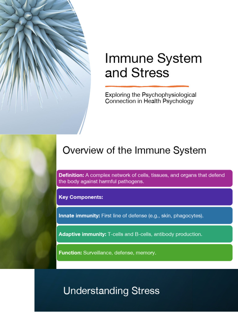 Immune System and Stress | PDF | Stress (Biology) | Immune System
