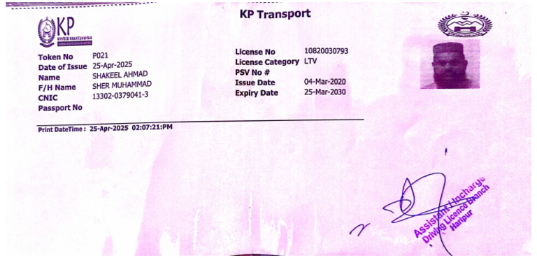 Driving Licence Token | PDF