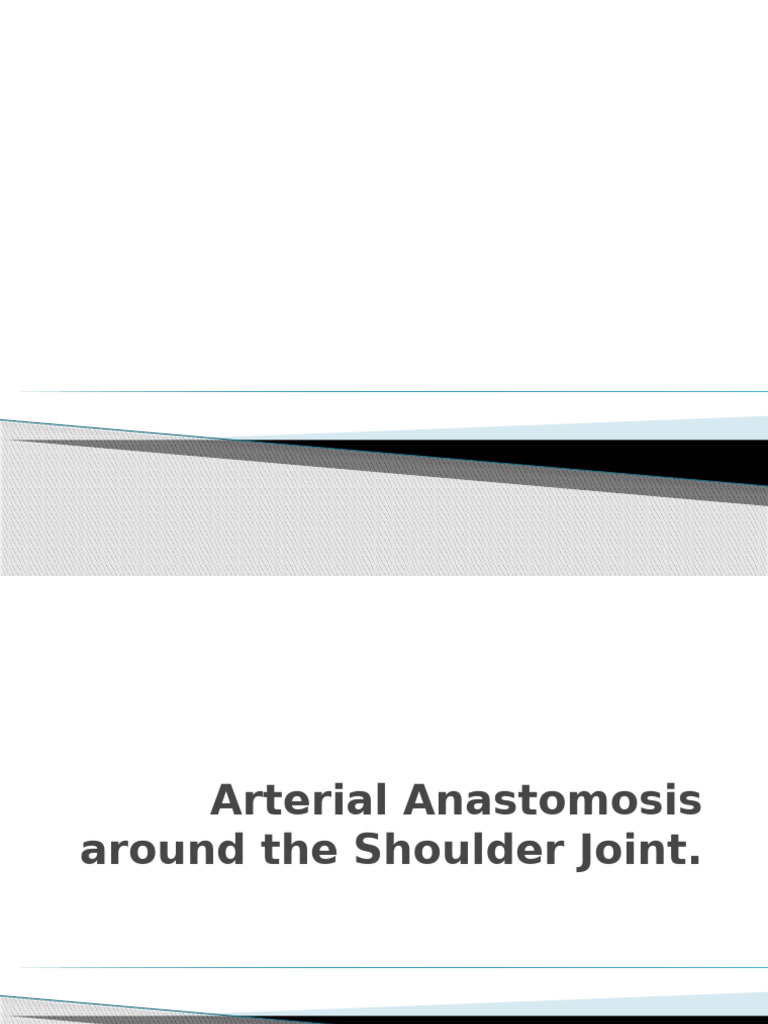 Shoulder Joint Arterial Anastomosis | PDF