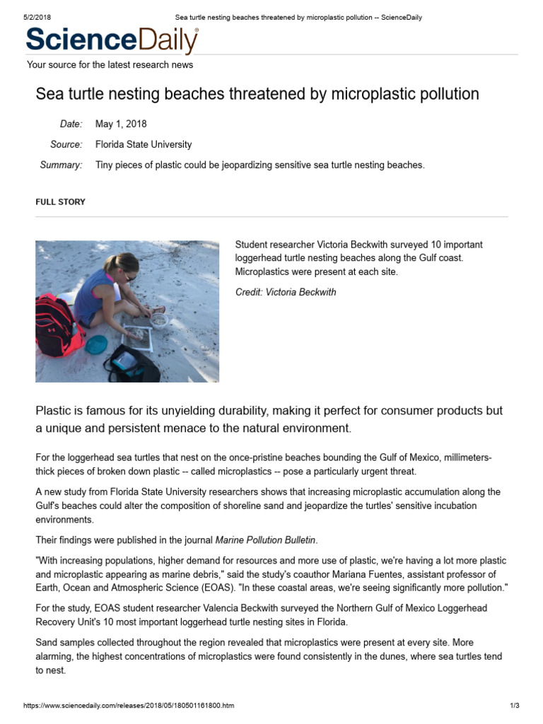 Sea Turtle Nesting Beaches Threatened by Microplastic Pollution ...