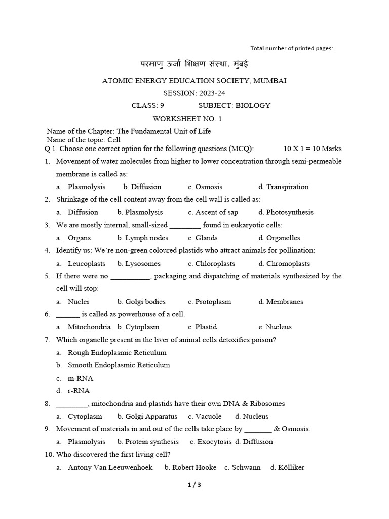 Class 9 Lesson 5 Biology Worksheet AECS2 MUM | PDF | Cell (Biology ...