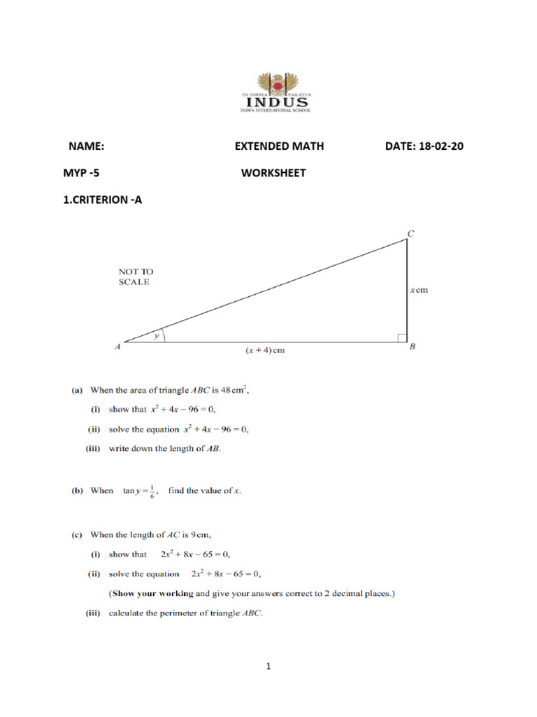 MYP 5 Extended Math Worksheet | PDF | Mathematical Concepts ...