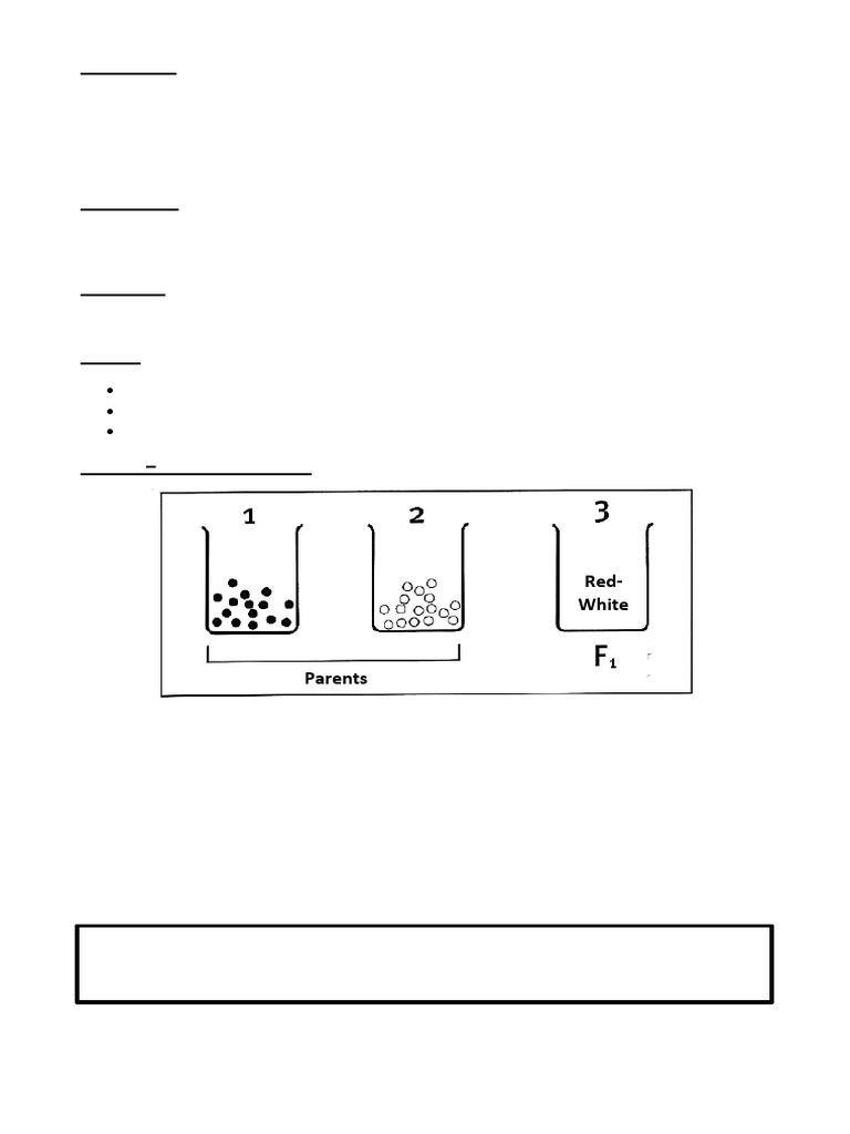 6 - GR 12 Genetics Practical 2 | PDF | Zygosity | Genotype