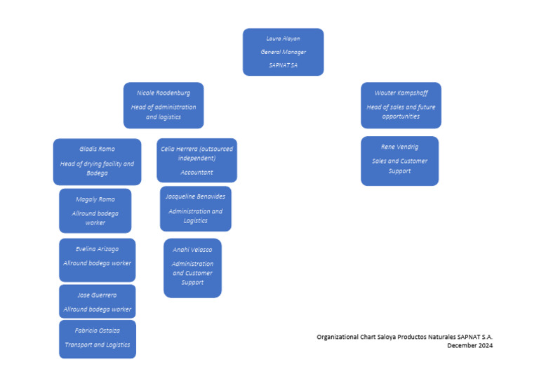 Organizational Chart - DEC 2024 | PDF