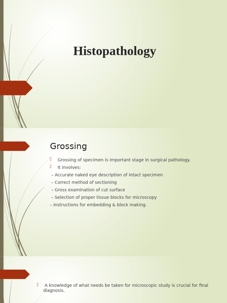 Lec. 2 Grossing of Tissue | PDF | Gallbladder | Medical Specialties