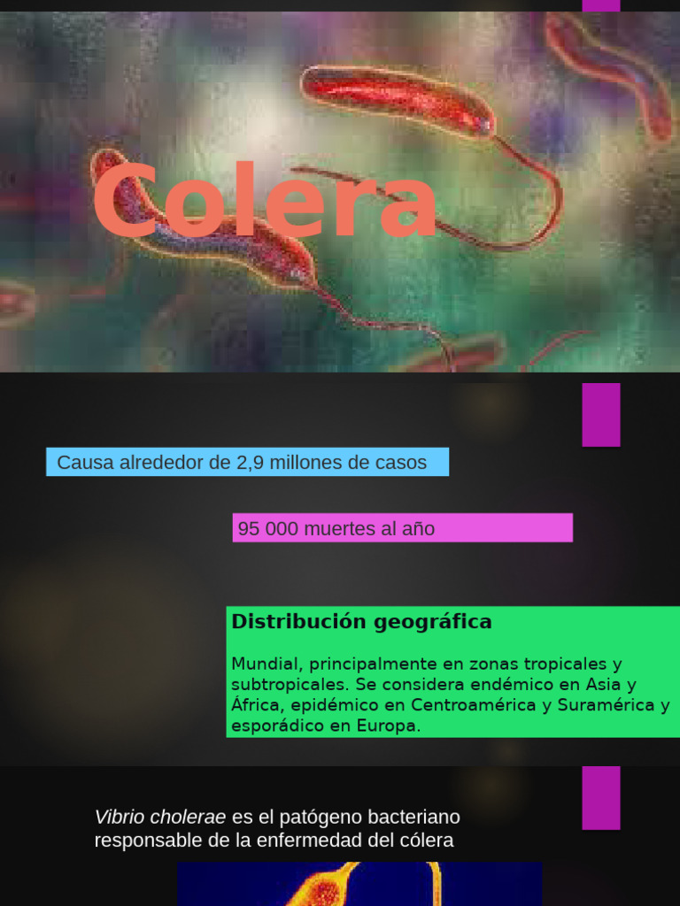 Colera | PDF | Cólera | Diarrea