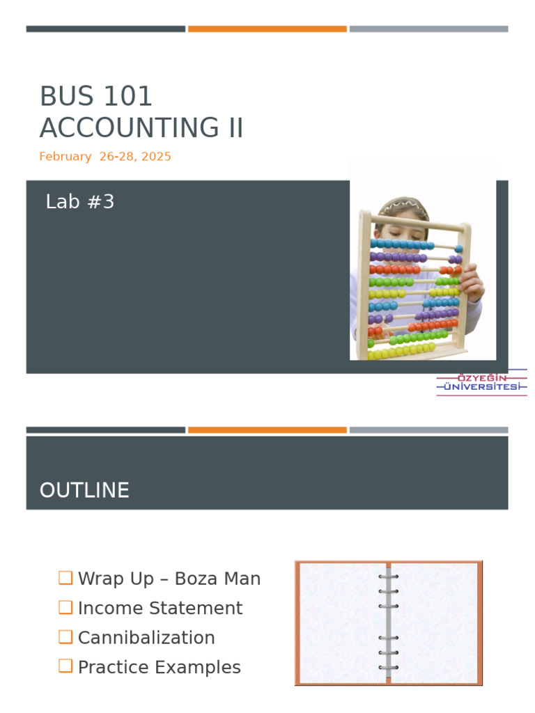 Lab 3 - Accounting 2 | PDF