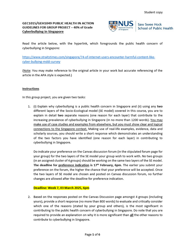 Group Project Instructions for Students | PDF | Reason | Turnitin