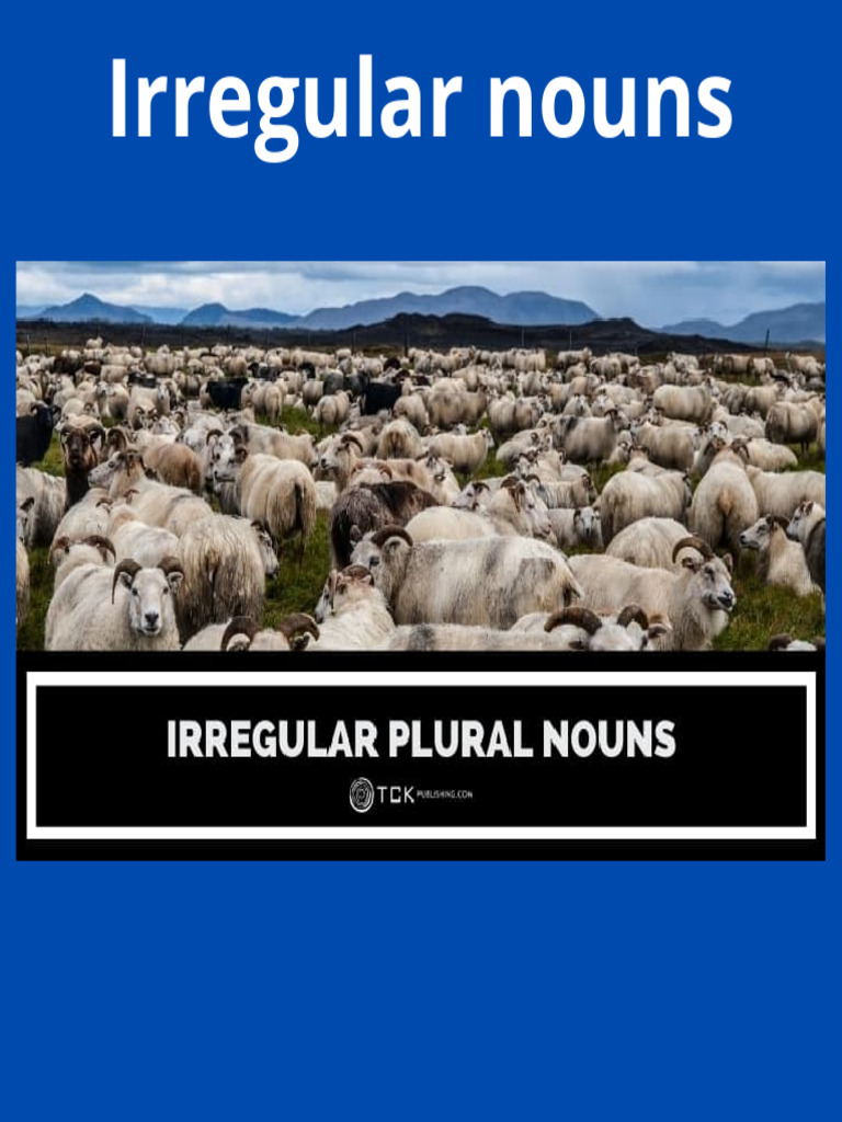 Irregular Nouns | PDF