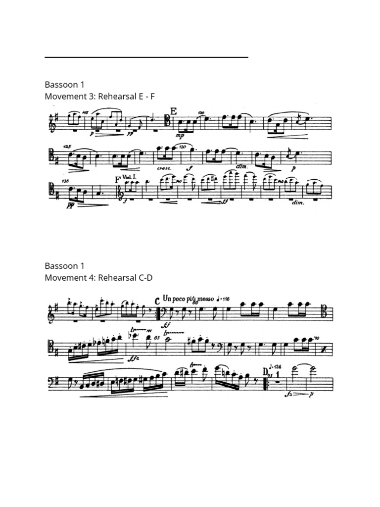 816_Bassoon | PDF
