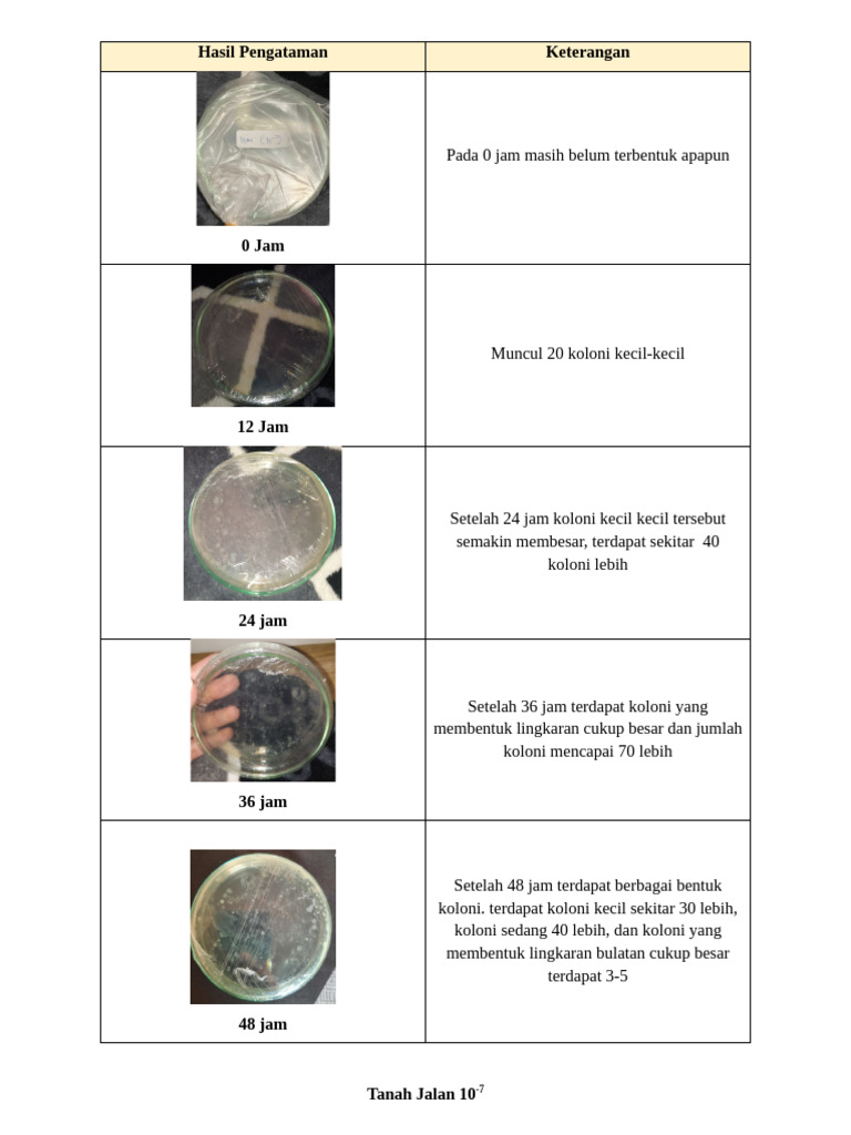 Dokumentasi Cawan Petri Tanah Jalan | PDF