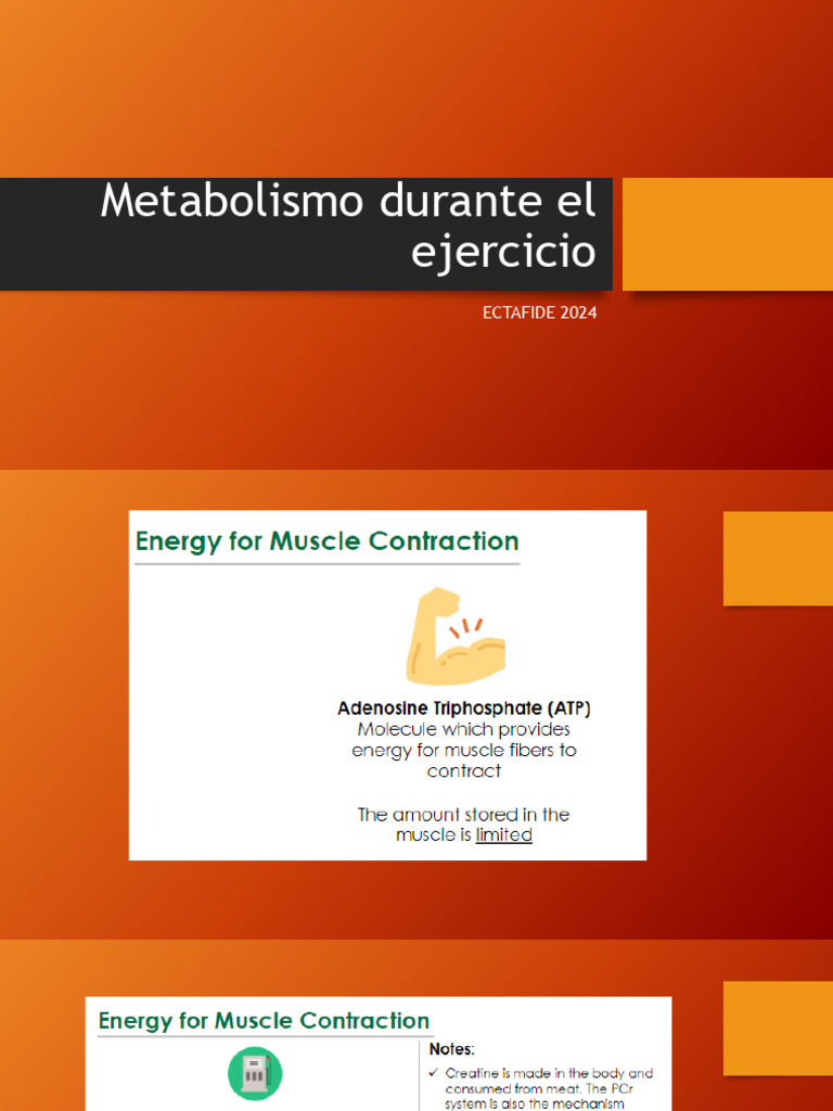 Metabolismo y Ejercicio | PDF