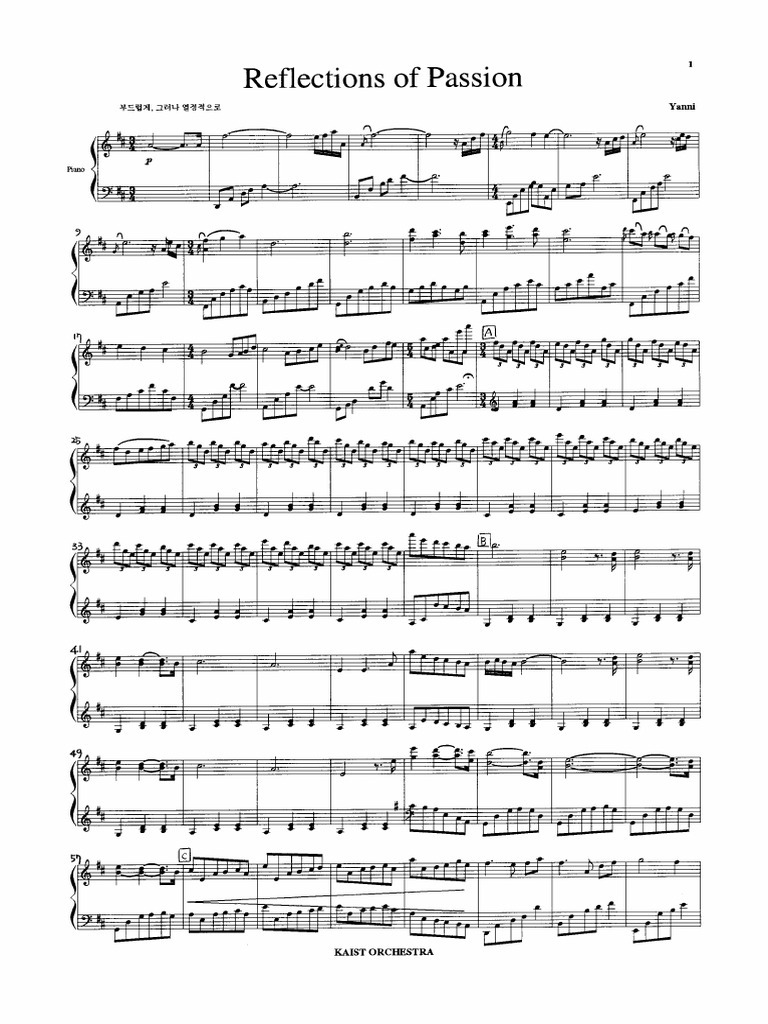 Reflection of Passion | PDF