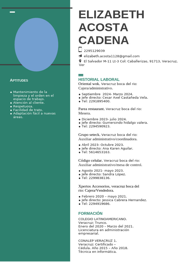CV Elizabeth Acosta Cadena | PDF