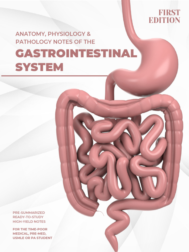 Gastrointestinal System | PDF | Peritoneum | Gastrointestinal Tract