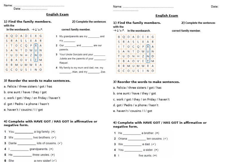 2° Exam Have-Has Got & Family | PDF