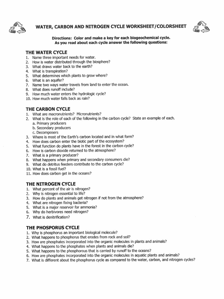 Biogeochemical Cycles | PDF