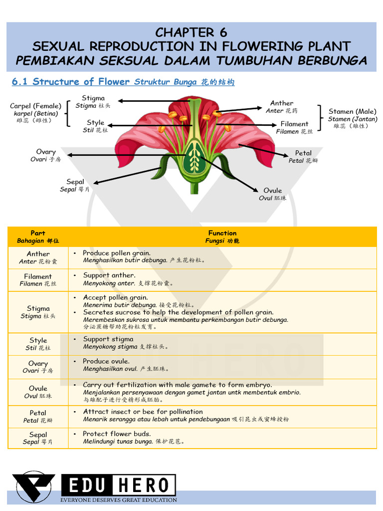 2025 f5 Bio Chp 6 May Logo | PDF